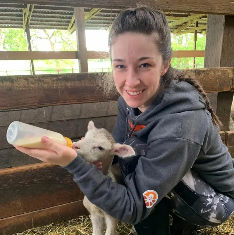 Year in Review 2021 | Office of the CIO | Oregon State University